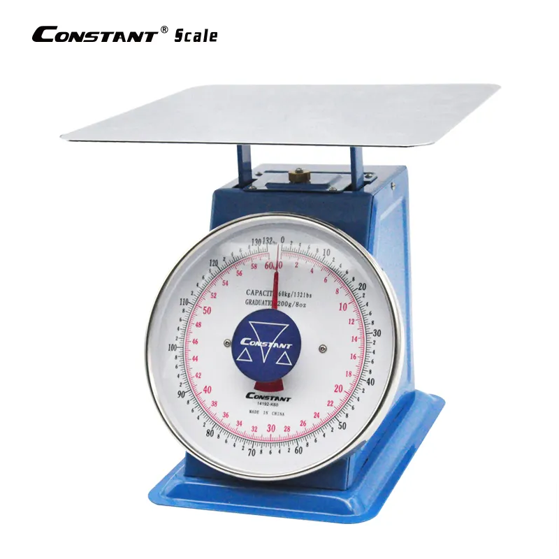 Balance à ressort en fer inoxydable simple 60kg 200g LBS précision