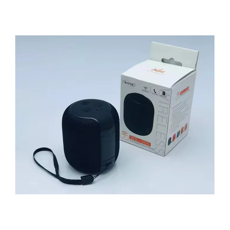 Enceinte Bluetooth sans fil WSTER WS-305 Audio Bluetooth carte USB
