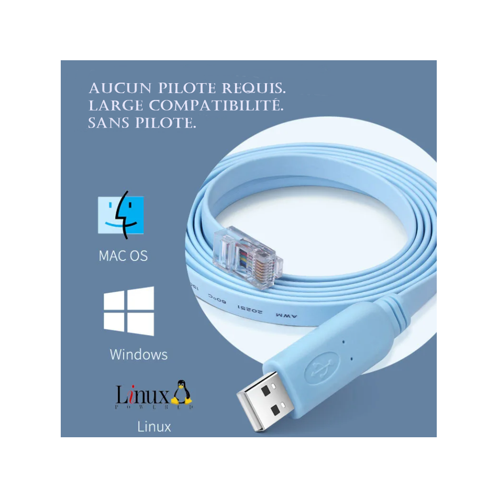 Câble de Console USB vers RJ45 (RS232) | 1.8m | FTDI | Compatible Cisco ...